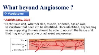 Angiosome Theory of Skin Vascular Territories | PPTX
