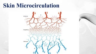 Angiosome Theory of Skin Vascular Territories | PPTX