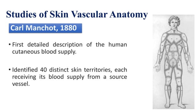 Angiosome Theory of Skin Vascular Territories | PPTX