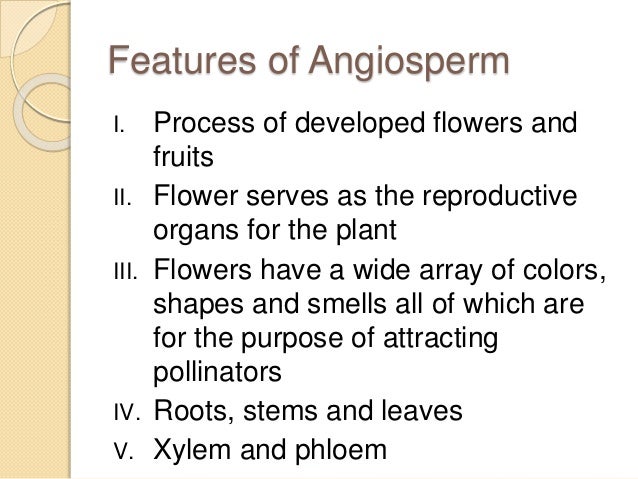 Angiosperm.ppt