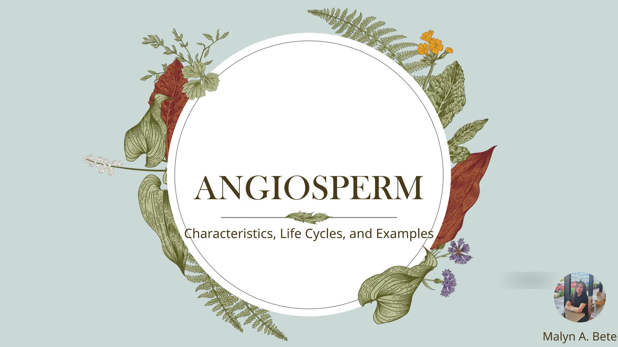 ANGIOSPERM: Characteristics, Life Cycle, and Examples | PPTX
