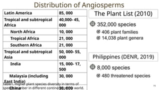 ANGIOSPERM: Characteristics, Life Cycle, and Examples | PPTX