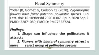 ANGIOSPERM: Characteristics, Life Cycle, and Examples | PPTX