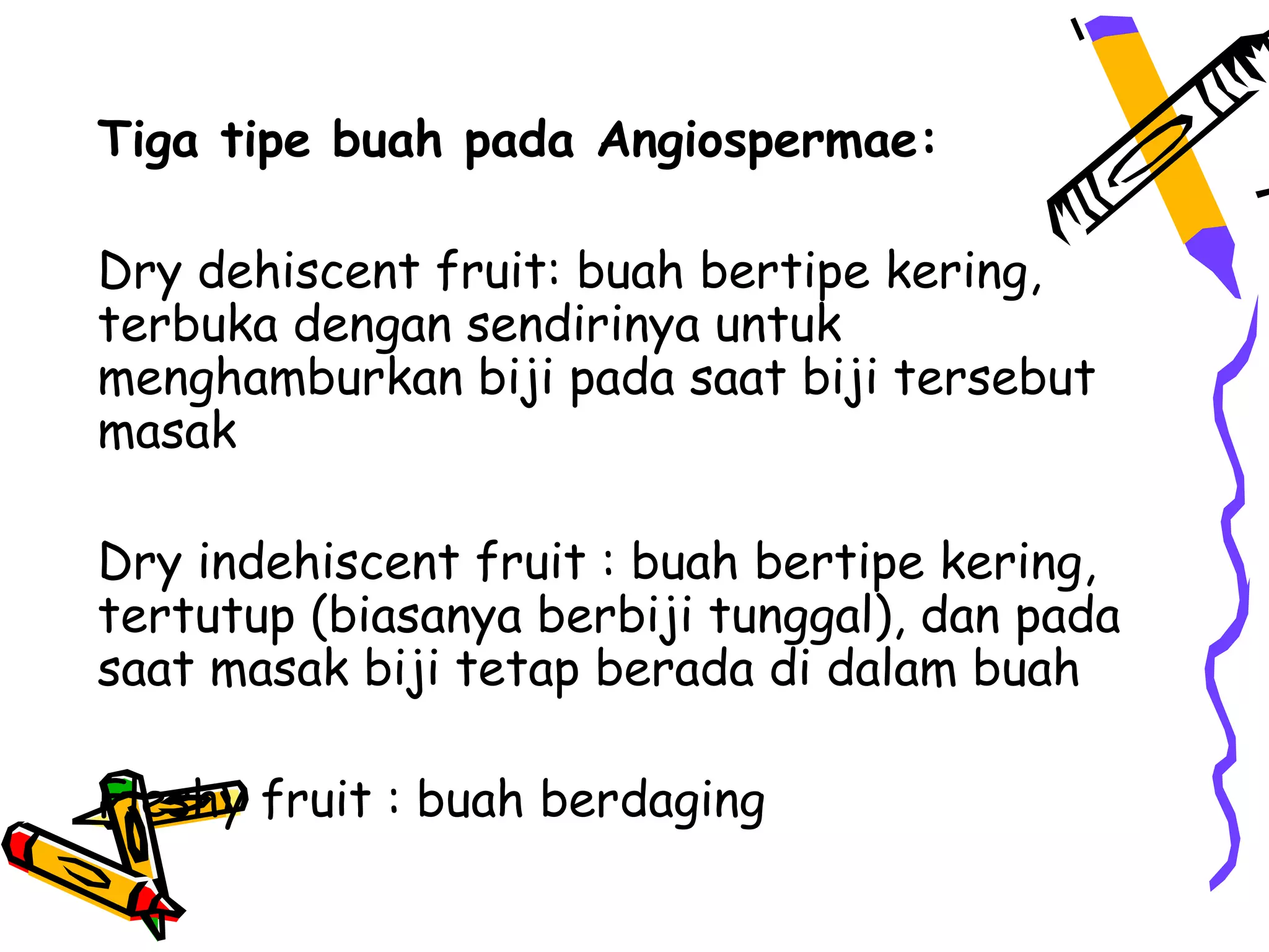 Angiospermae | PPT
