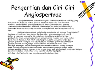 Angiospermae | PPT