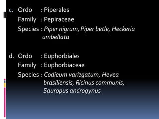 Angiospermae | PPTX