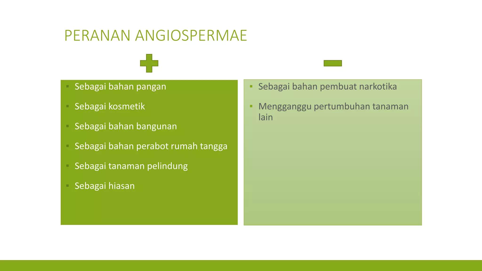 Angiospermae - Plantae (Bab 7) | PPT