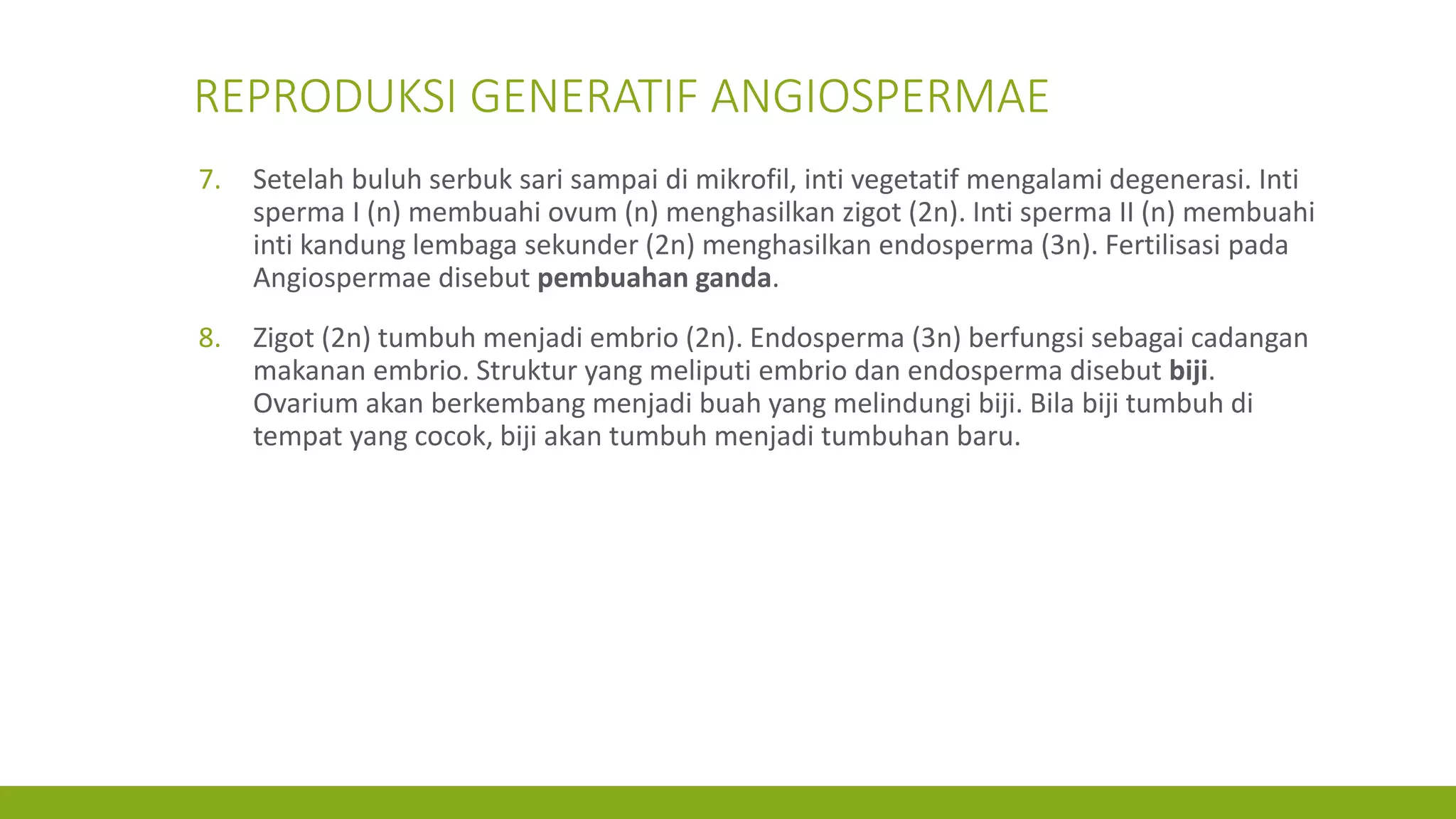 Angiospermae - Plantae (Bab 7) | PPT