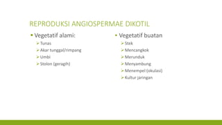 Angiospermae - Plantae (Bab 7) | PPT