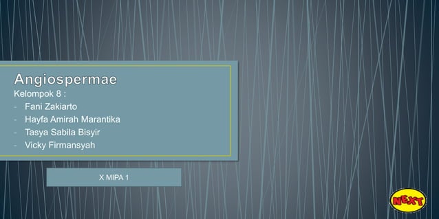 Angiospermae | PPTX