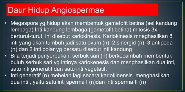 Angiospermae | PPTX