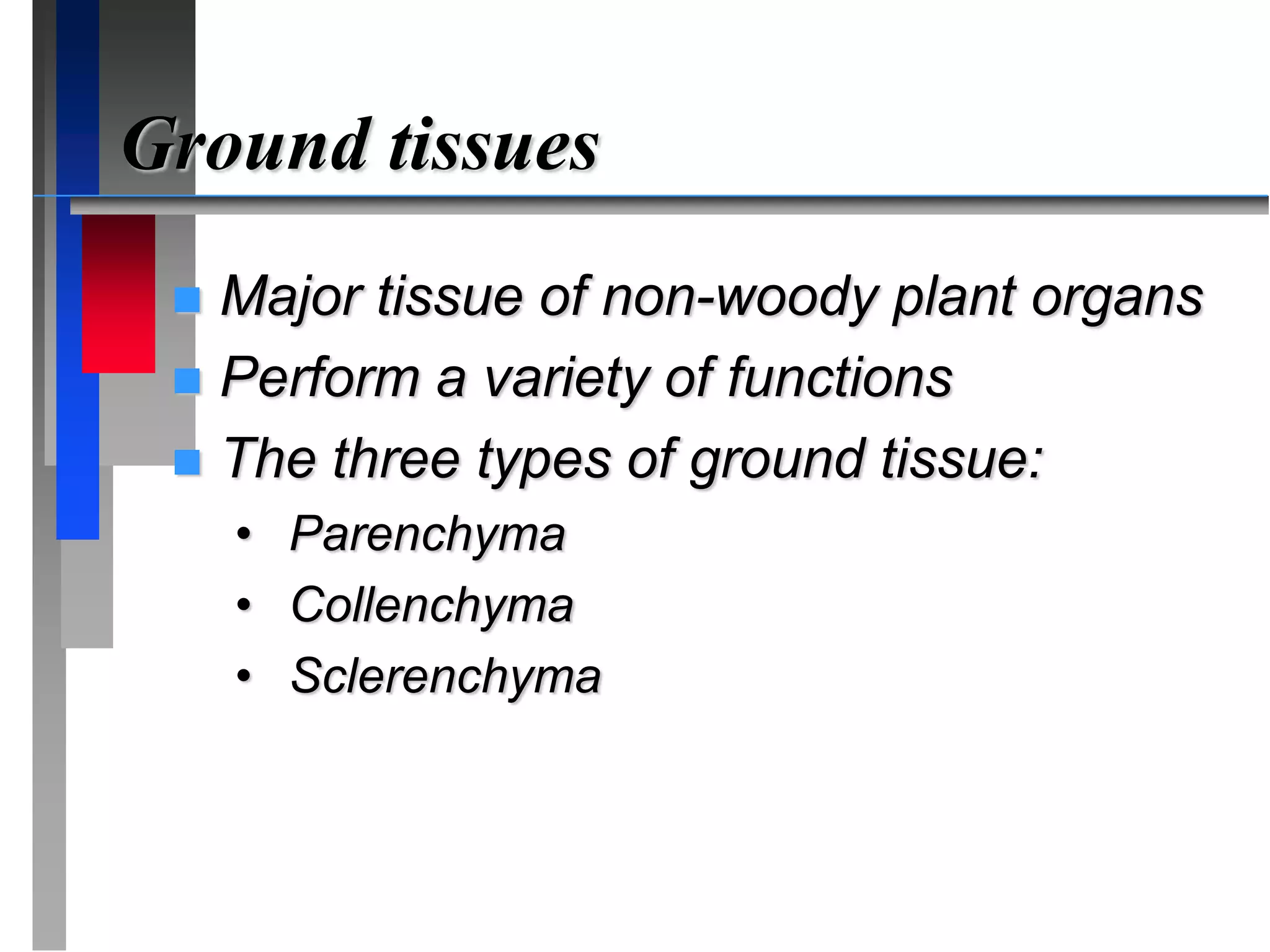 Angiosperm anatomy.ppt