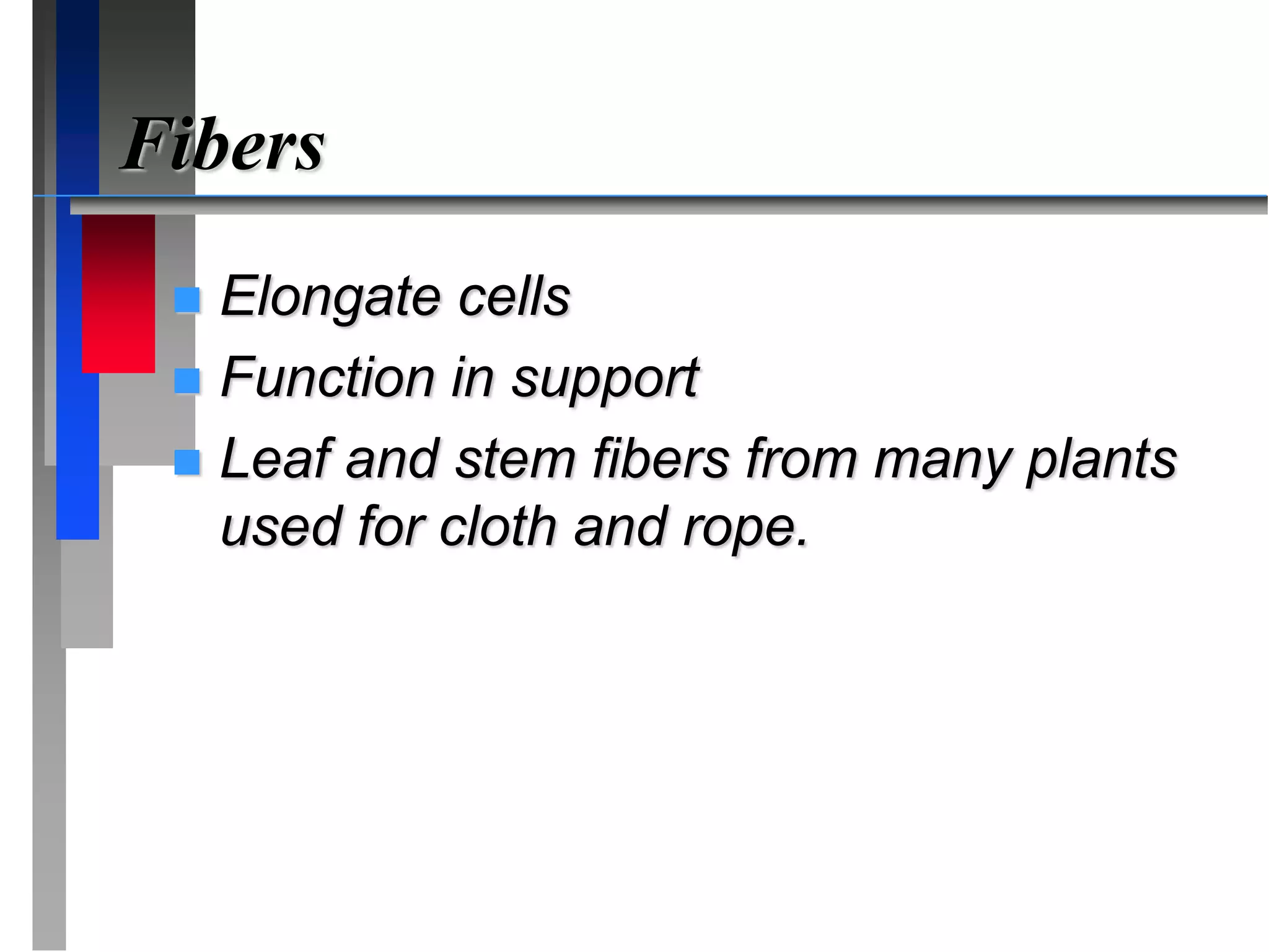 Angiosperm anatomy.ppt