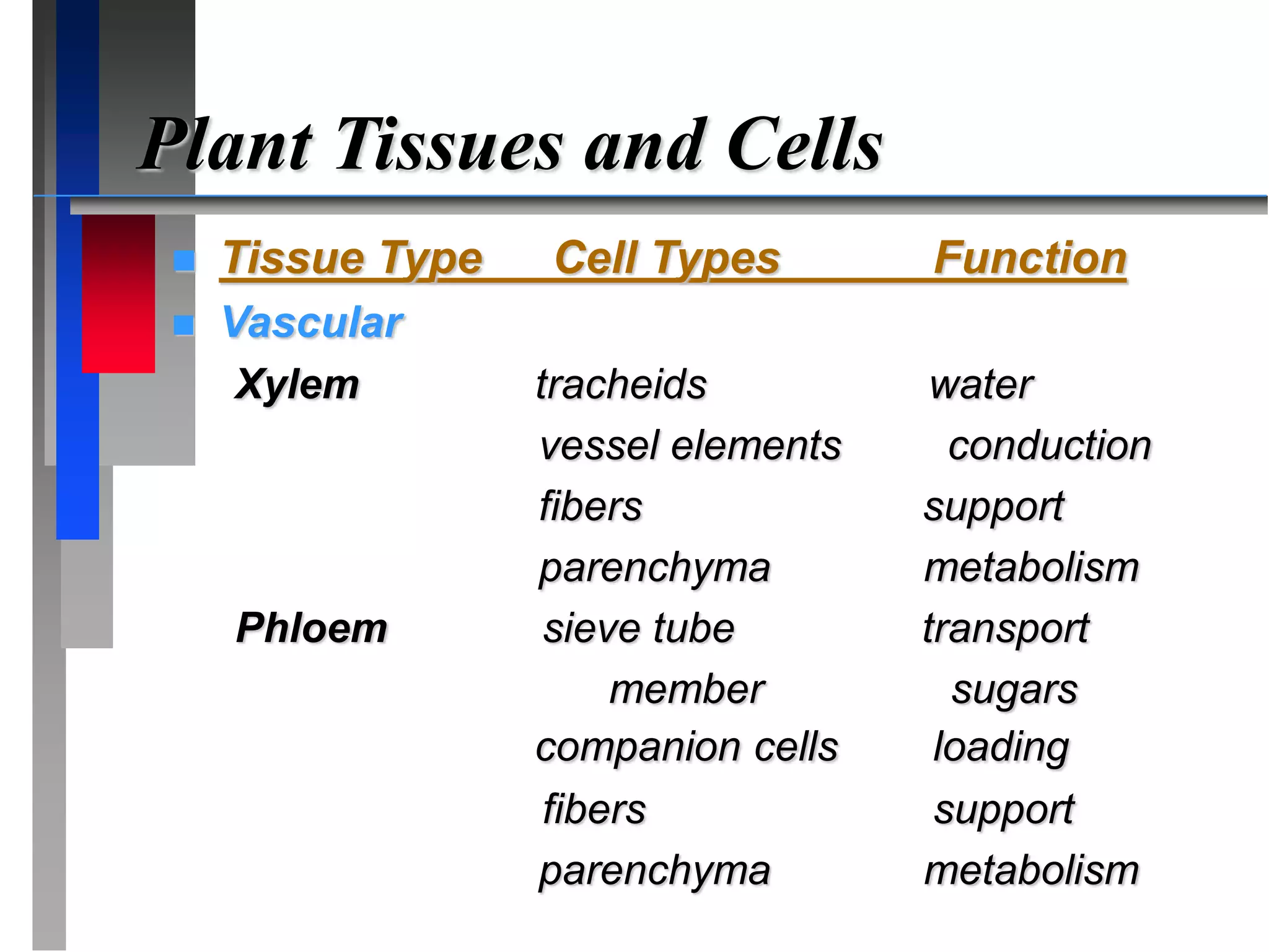 Angiosperm anatomy.ppt