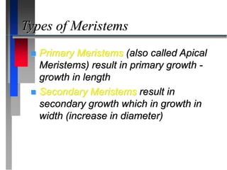 Angiosperm anatomy.ppt