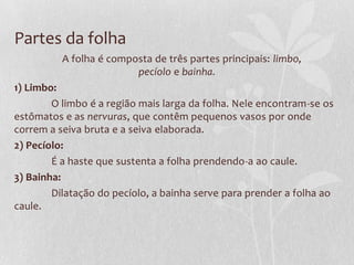Folhas angiospermas | PPTX