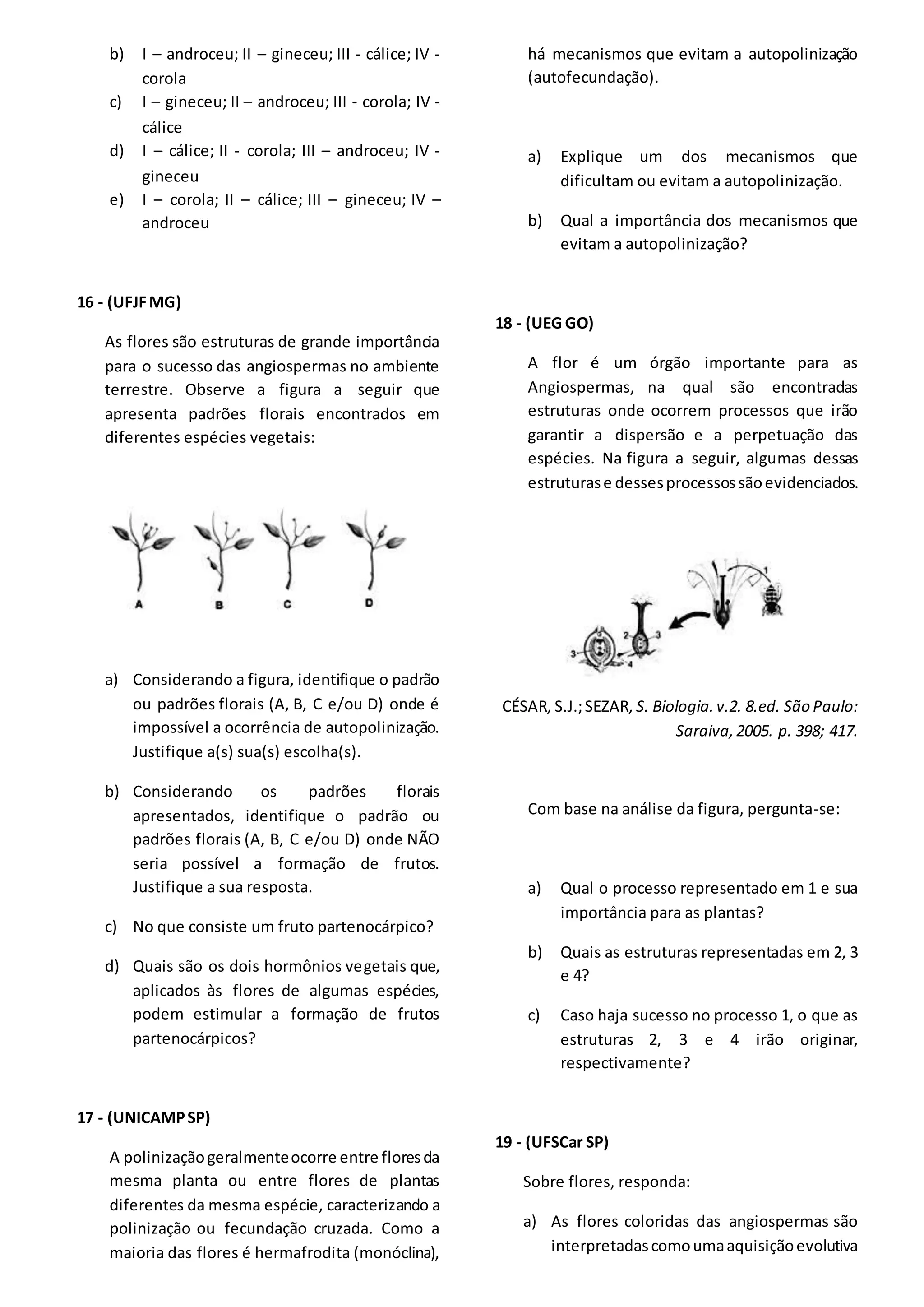 Angiospermas 2014 exercicios sobre plantas | DOCX