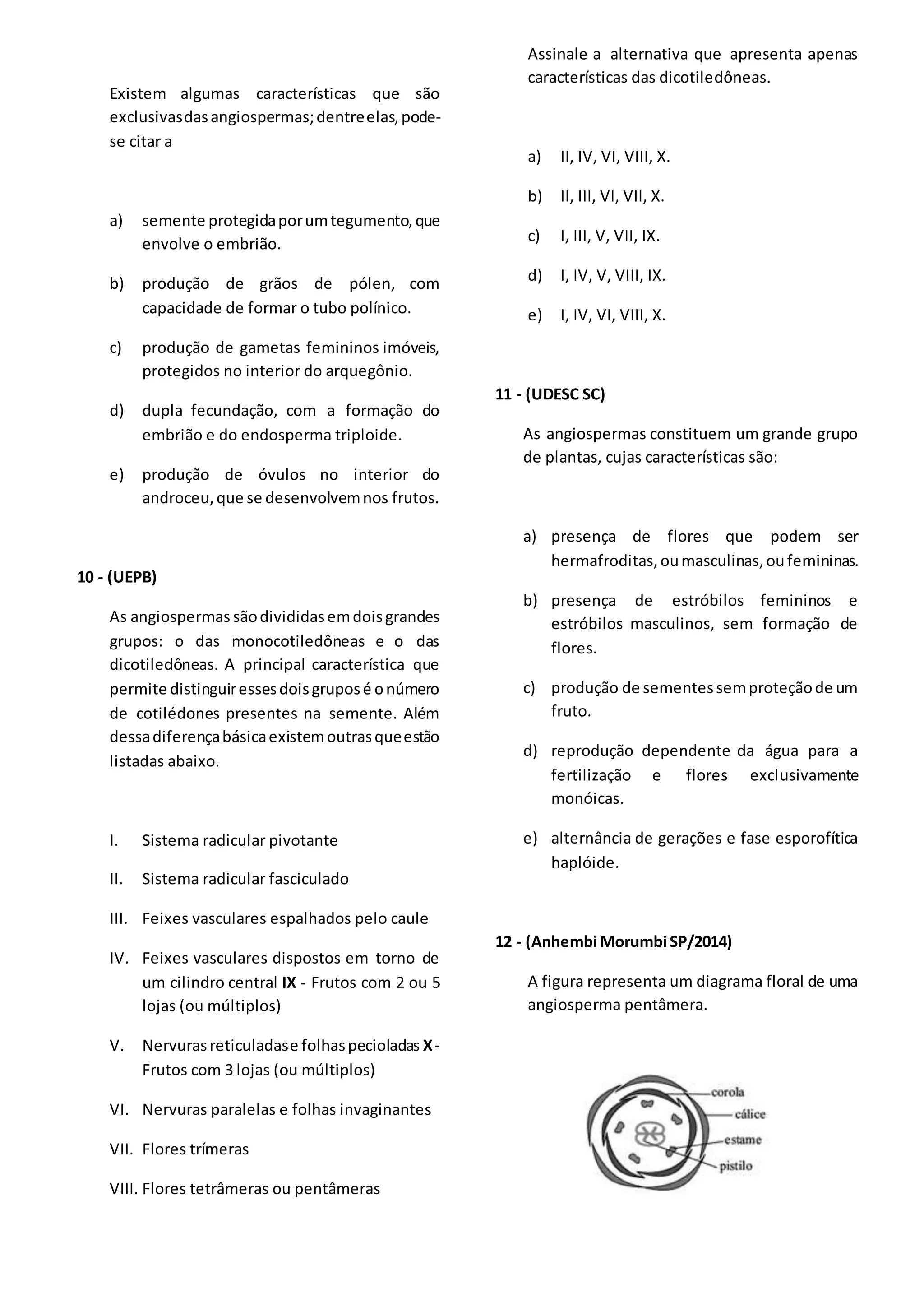 Angiospermas 2014 exercicios sobre plantas | PDF