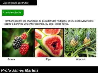 Angiospermas -Profo James Martins | PDF