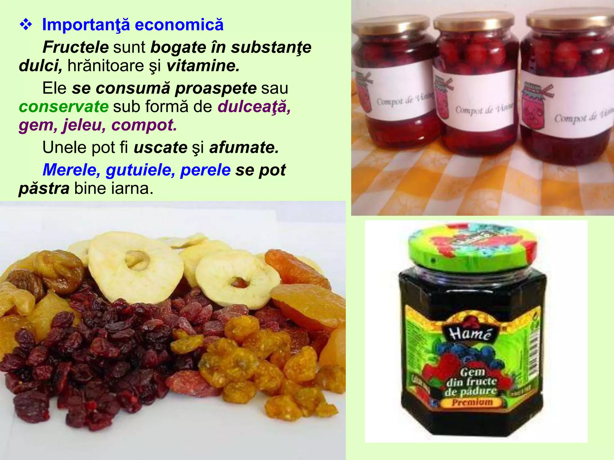Angiosperme | PPTX