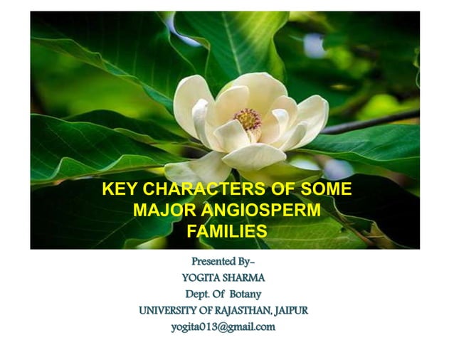 Key Characters of some major Angiosperm Families | PPTX | Gardening ...