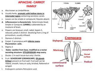 Key Characters of some major Angiosperm Families | PPTX