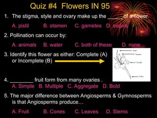 Angiosperm and Gymnosperm presentation.ppt