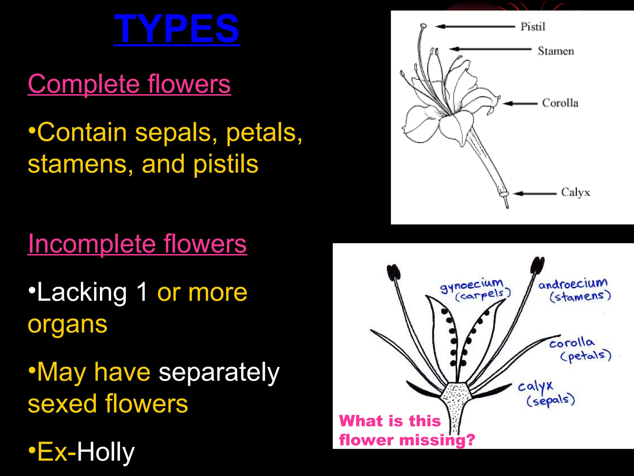 angiospermgymnosperm reproduct, anatomy, structure | PPT