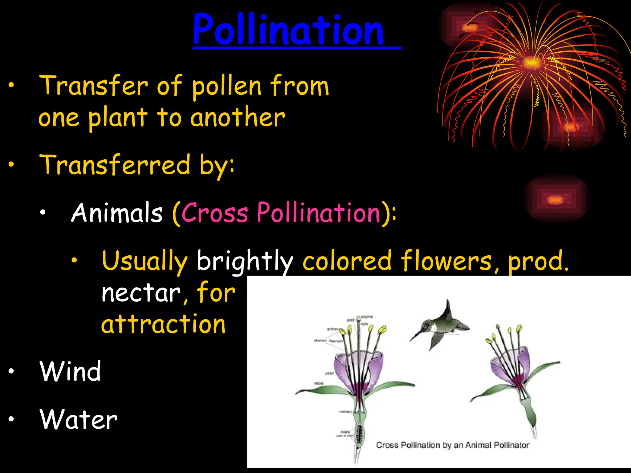 angiospermgymnosperm reproduct, anatomy, structure | PPT