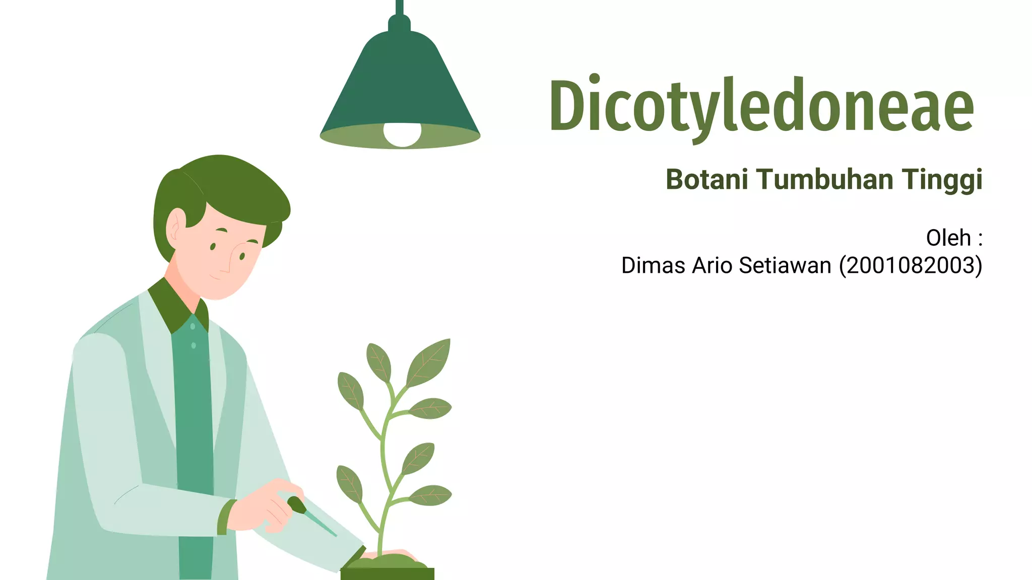 Angiosperm, Monocotyl, Dicotyl.pptx