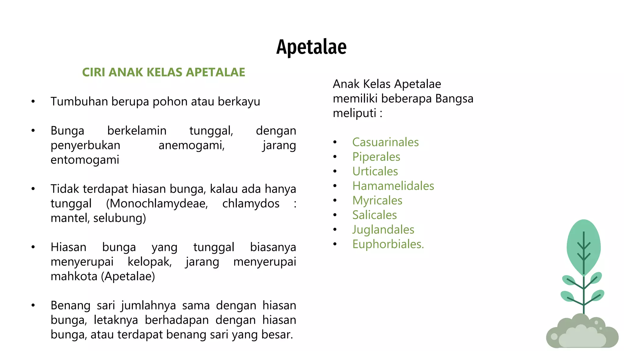 Angiosperm, Monocotyl, Dicotyl.pptx