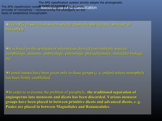 Angiosperm phlogeny group taxonomy classification | PPT