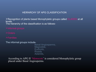 Angiosperm phlogeny group taxonomy classification | PPT