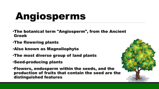 Angiosperm phylogeny grouping I (APG I) | PPTX | Gardening | Home & Garden