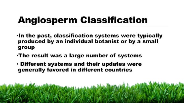 Angiosperm phylogeny grouping I (APG I) | PPTX | Gardening | Home & Garden