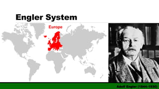 Angiosperm phylogeny grouping I (APG I) | PPTX