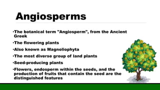 Angiosperm phylogeny grouping I (APG I) | PPT