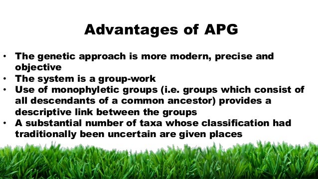 Angiosperm phylogeny grouping I (APG I)