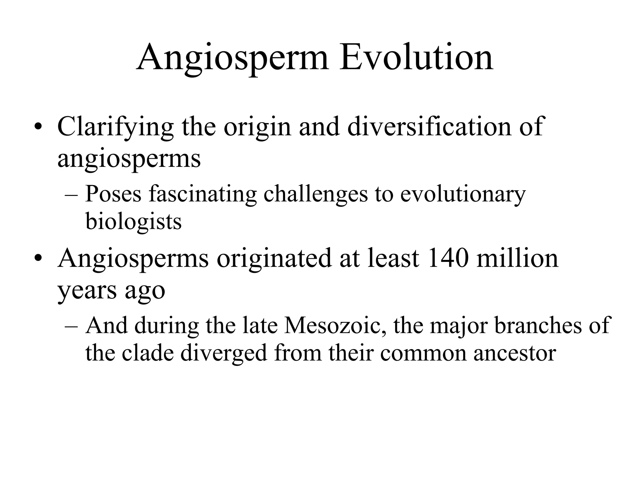 Angiosperms | PPT