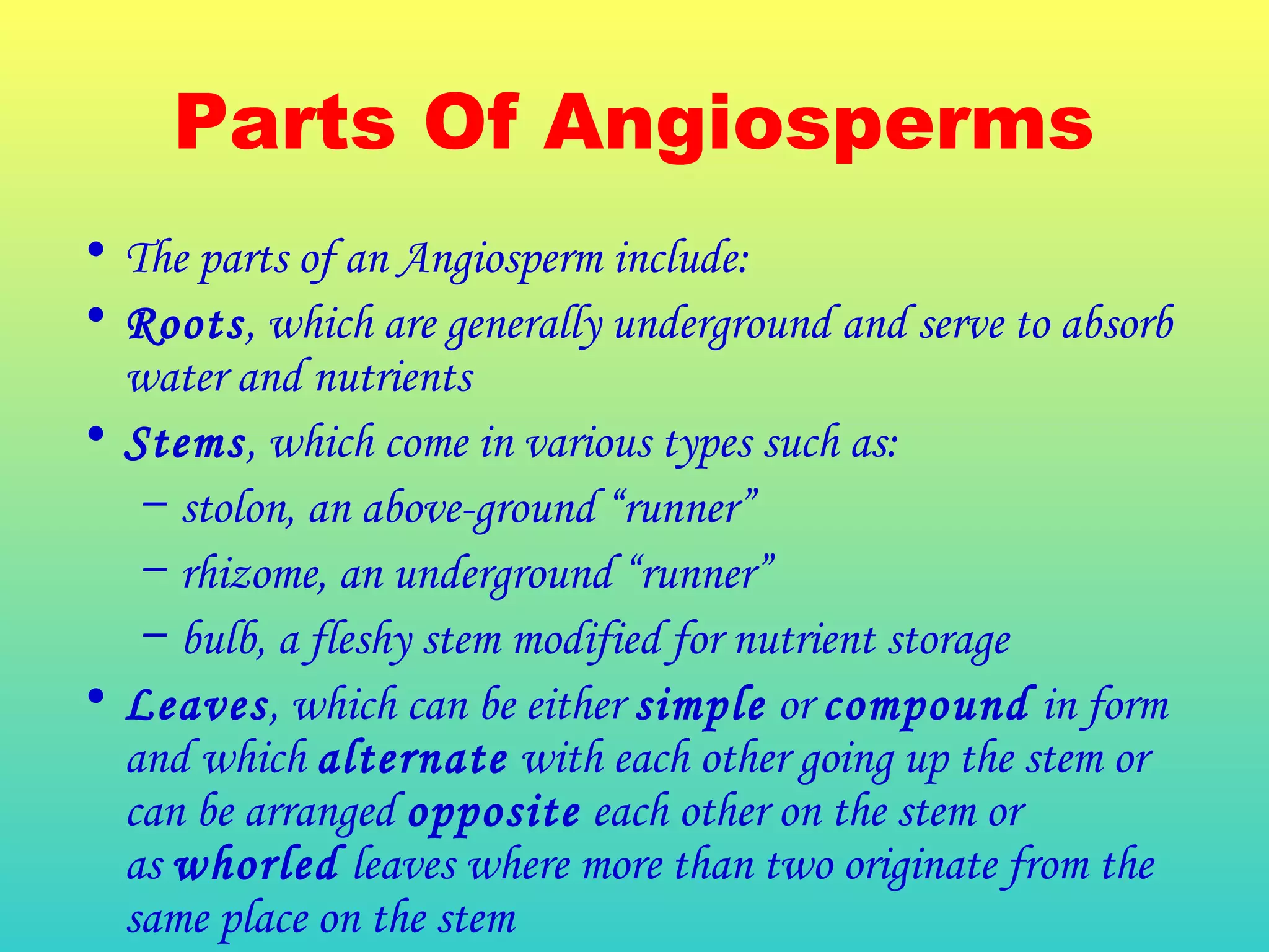 Angiosperms | PPT