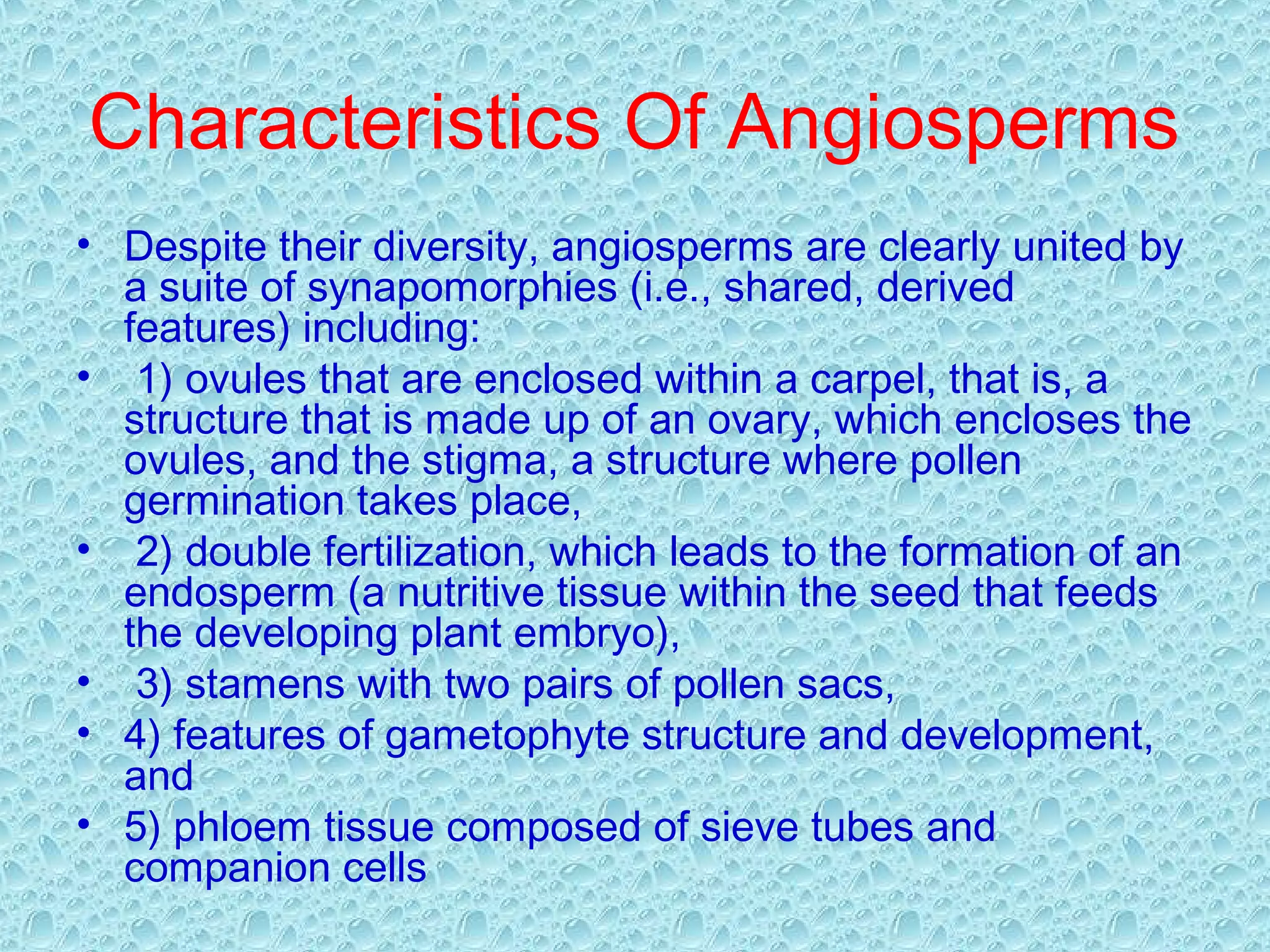 Angiosperms | PPT