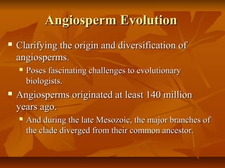 Angiosperms | PPT | Gardening | Home & Garden