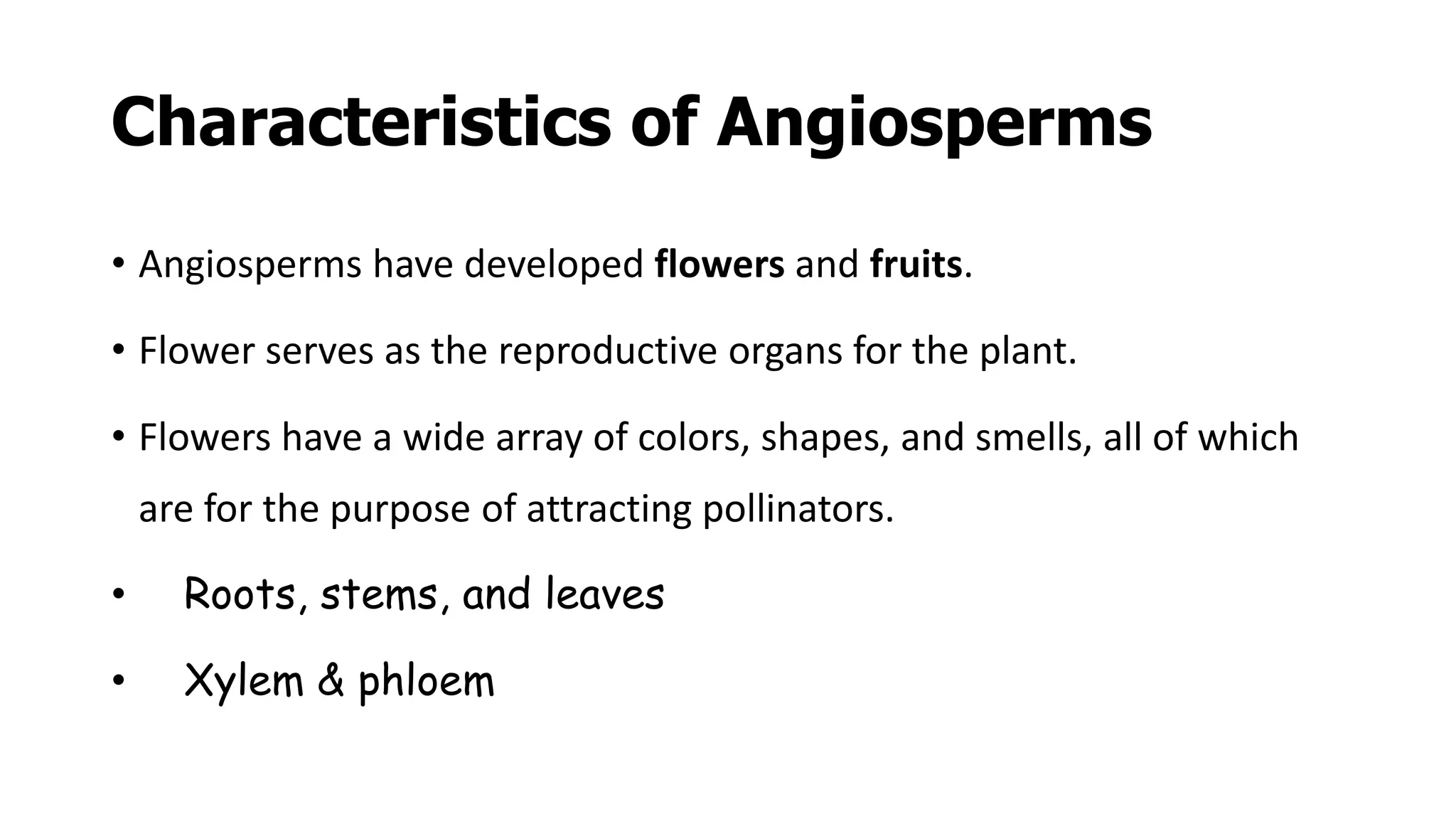 Angiosperms | PPTX