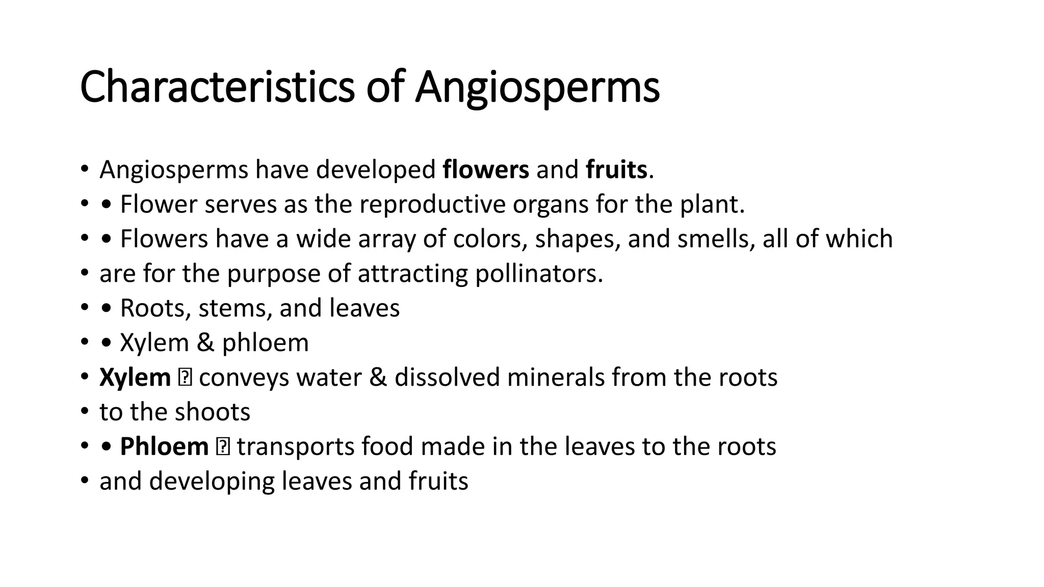 angiosperms.pptx