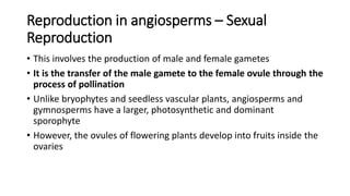angiosperms.pptx