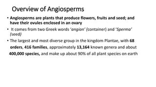 angiosperms.pptx