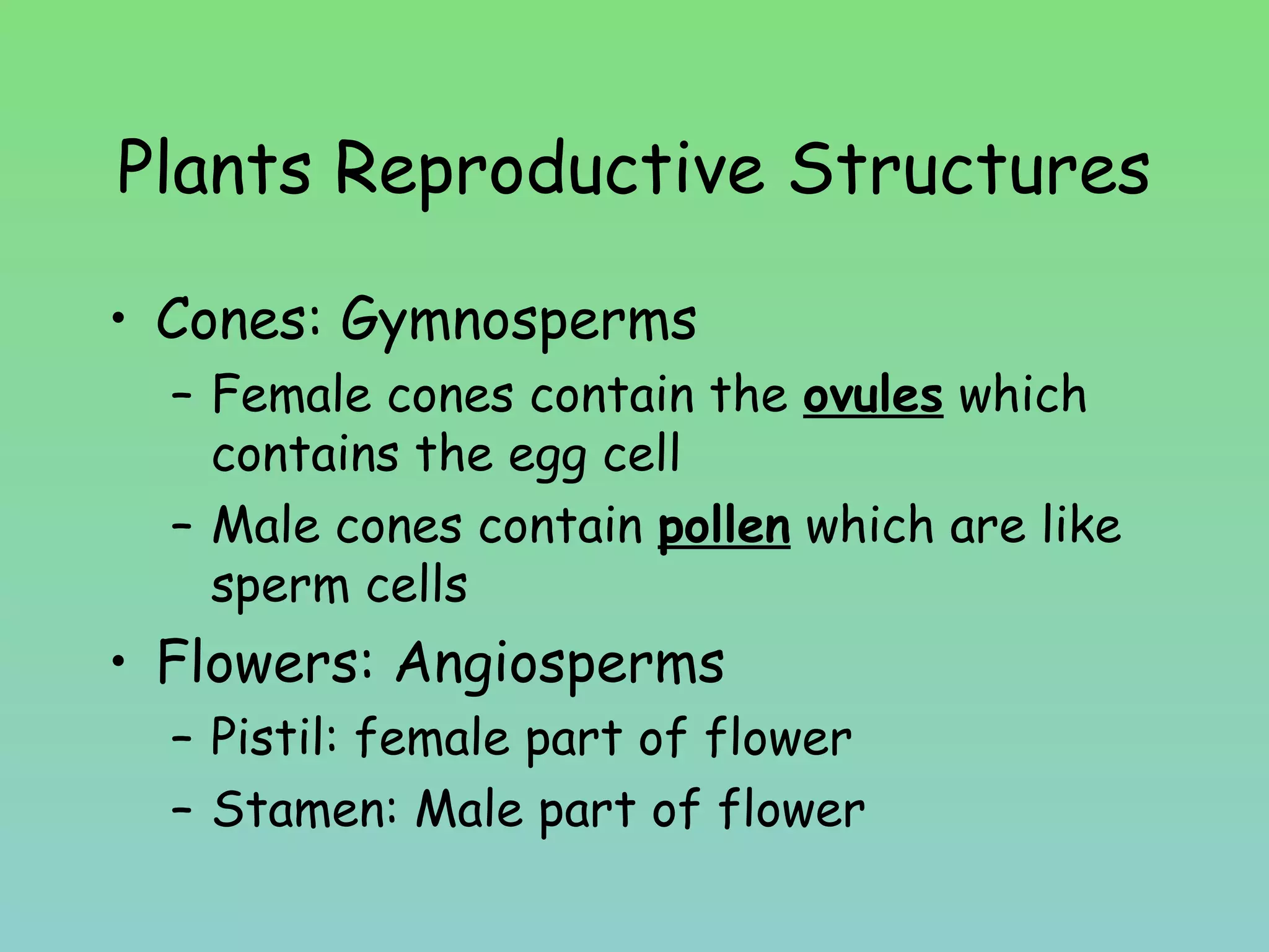 Angiosperms and gymnosperms | PPT