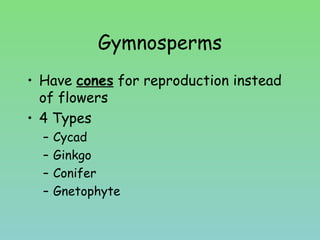 Gymnosperms And Angiosperms Life Cycle