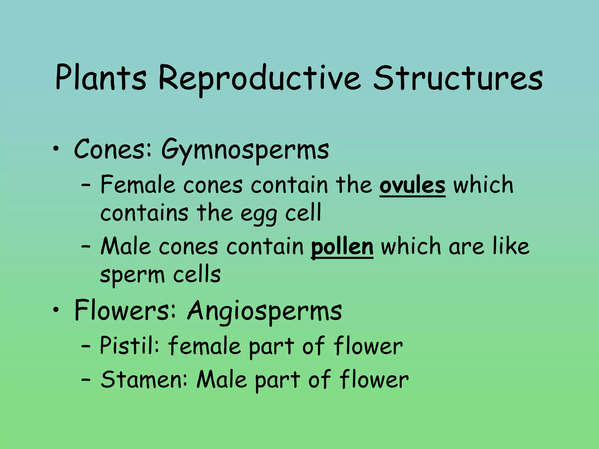 Angiosperms and Gymnosperms.ppt