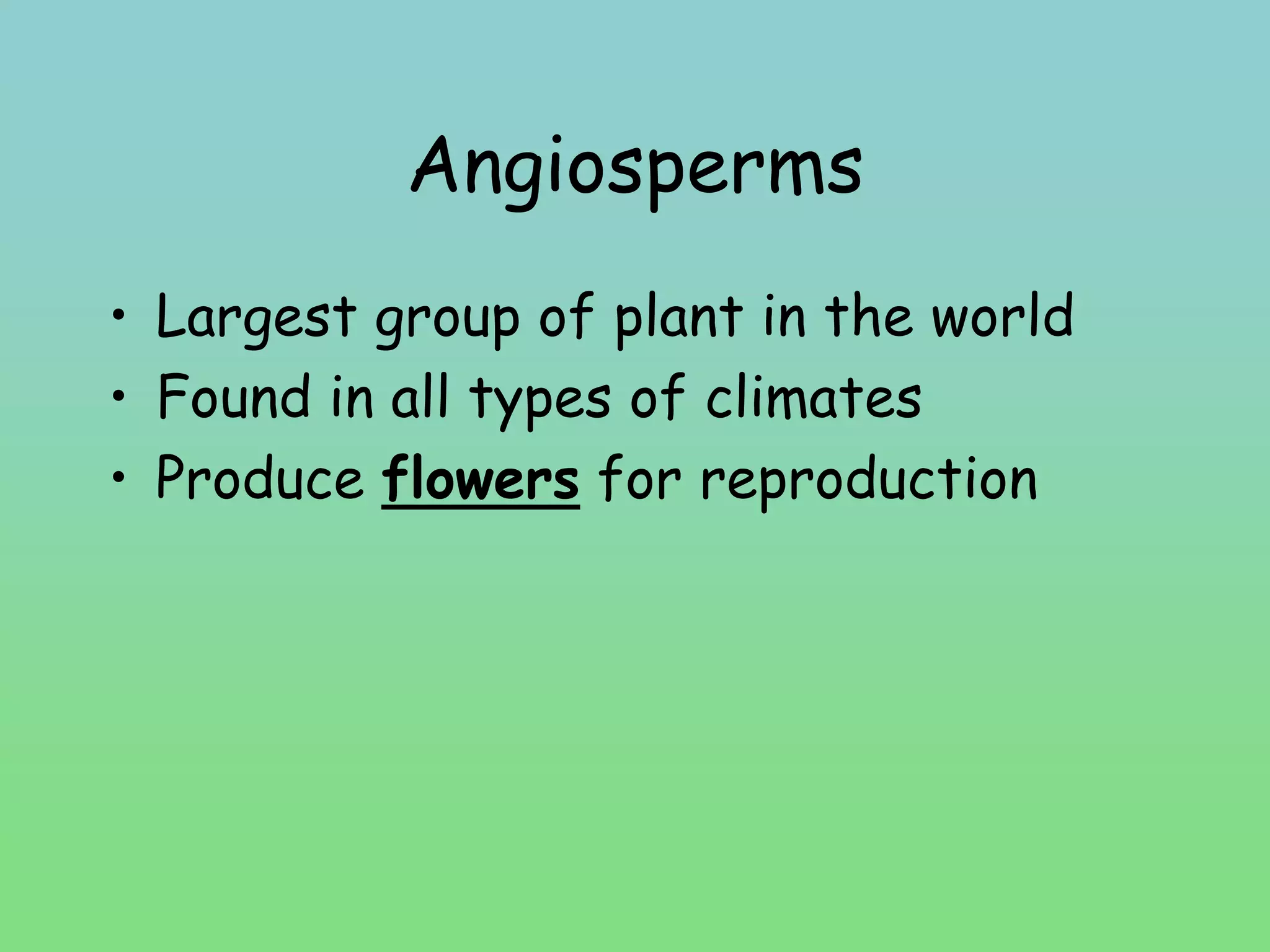 Angiosperms and Gymnosperms.ppt